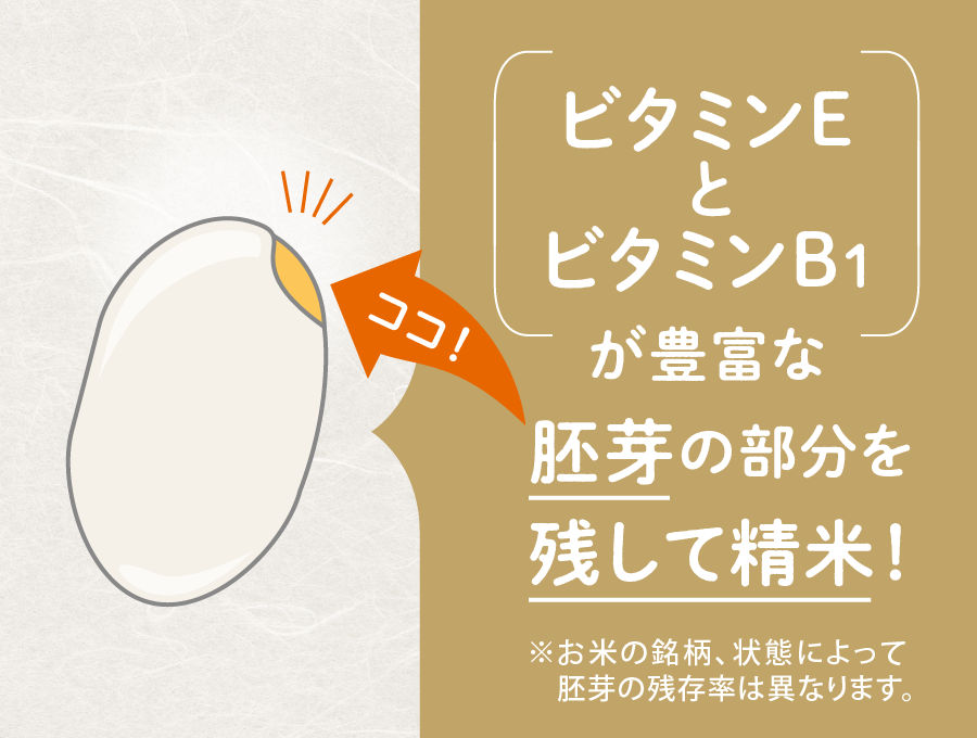 BR-WB10 ｜ 炊飯関連商品 ｜ 炊飯 ｜ 商品情報 ｜ 象印マホービン